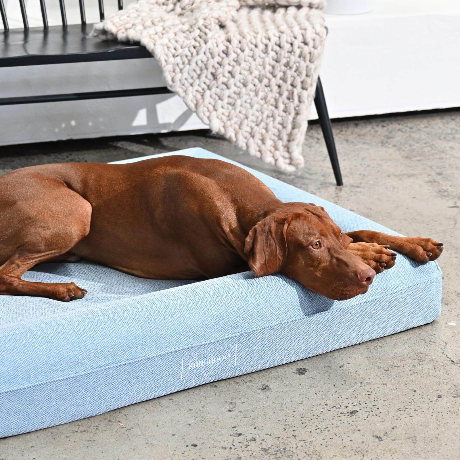 Lux Collection – Kangaroo Bed