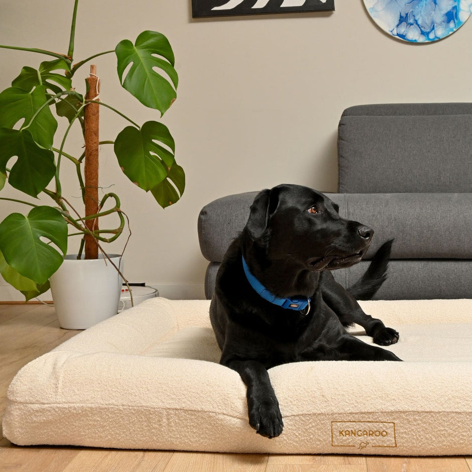 Bouclé Collection – Kangaroo Bed