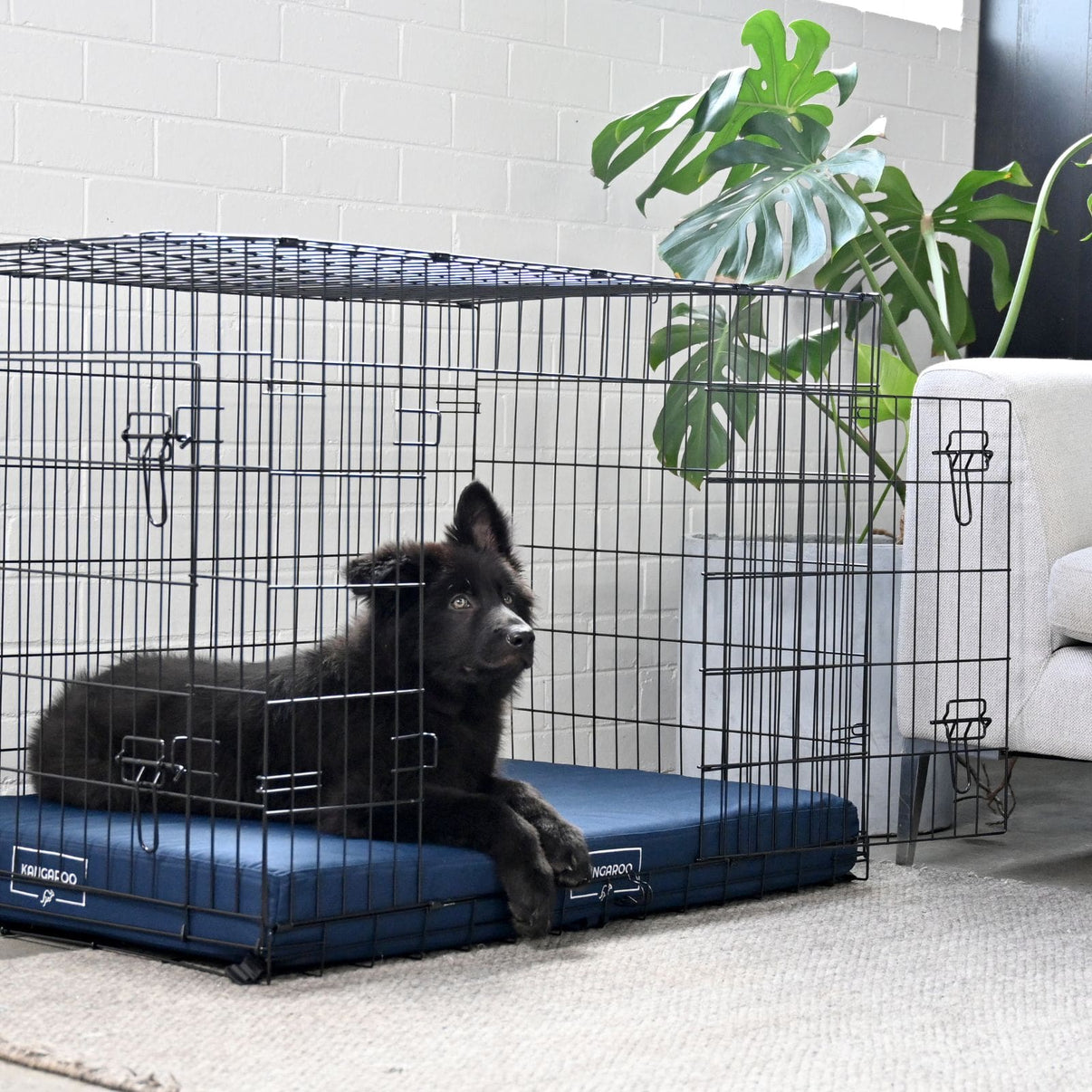 Kangaroo Dog Crate Mat - Orthopaedic memory foam mat with Tough RipStop ...