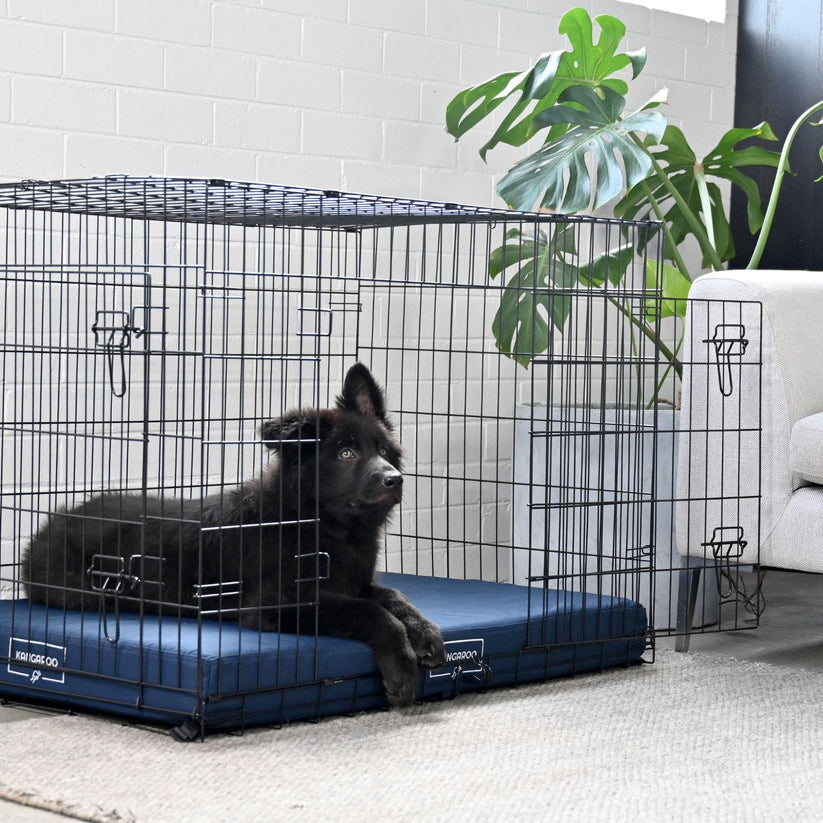 Kangaroo Dog Crate Mat - Orthopaedic memory foam mat with Tough RipStop ...