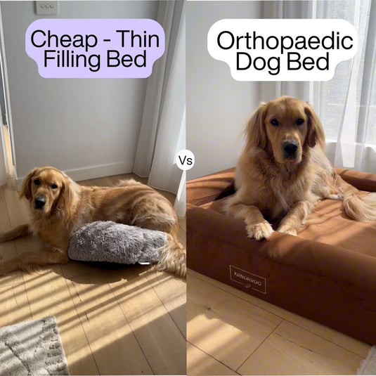 Orthopaedic Dog Bed – Kangaroo Bed