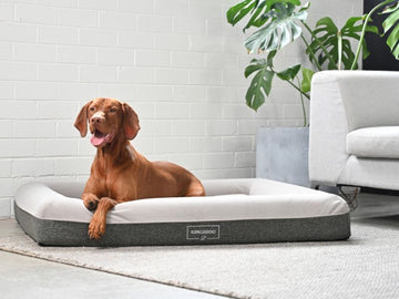 Kangaroo Bed : World's 1st All Season Dog Bed